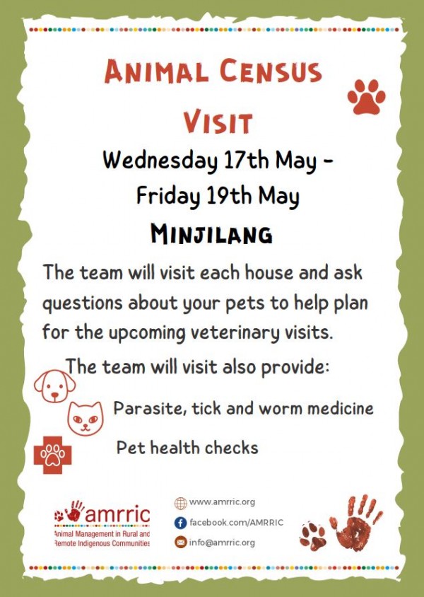 Minjilang Animal Census Visit | West Arnhem Regional Council